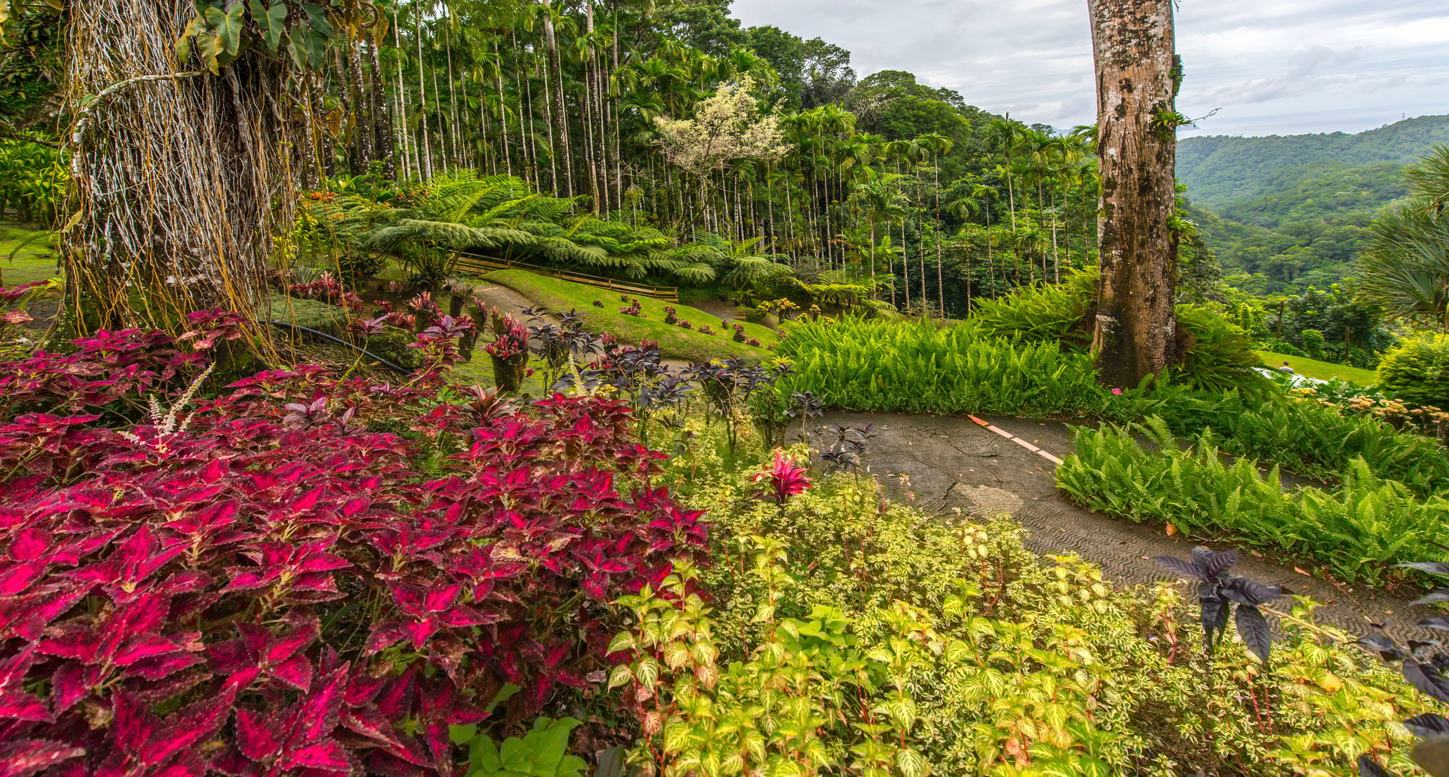 Luxusní dovolená u moře na Martiniku | Exclusive Tours
