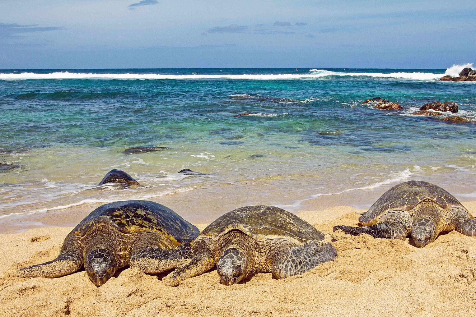 Havaj – vaše luxusní dovolená na míru | Exclusive Tours